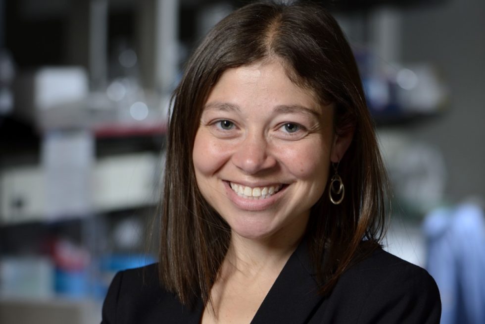 Newest Recipients Named for Bisciotti Foundation Translational Fund ...