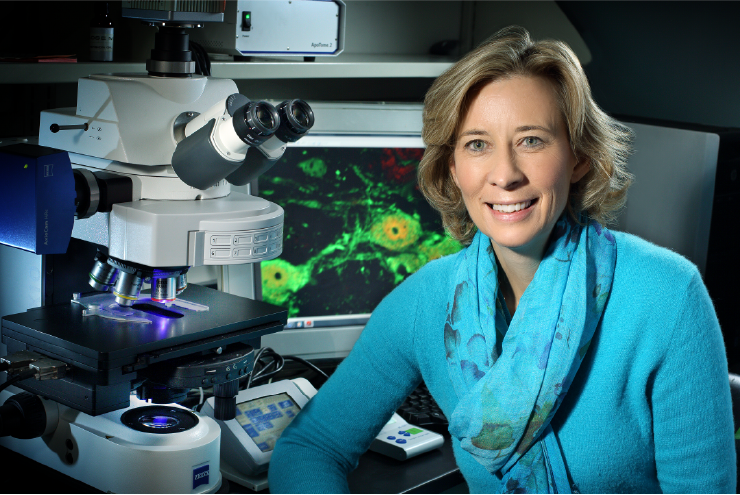 Women in Innovation - Johns Hopkins Technology Ventures